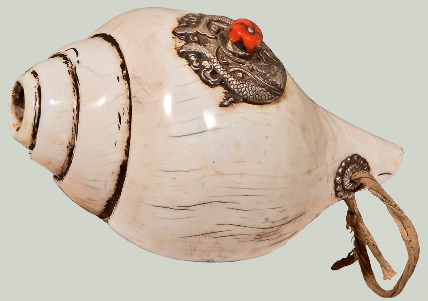 File:Conch.jpg - Rigpa Wiki